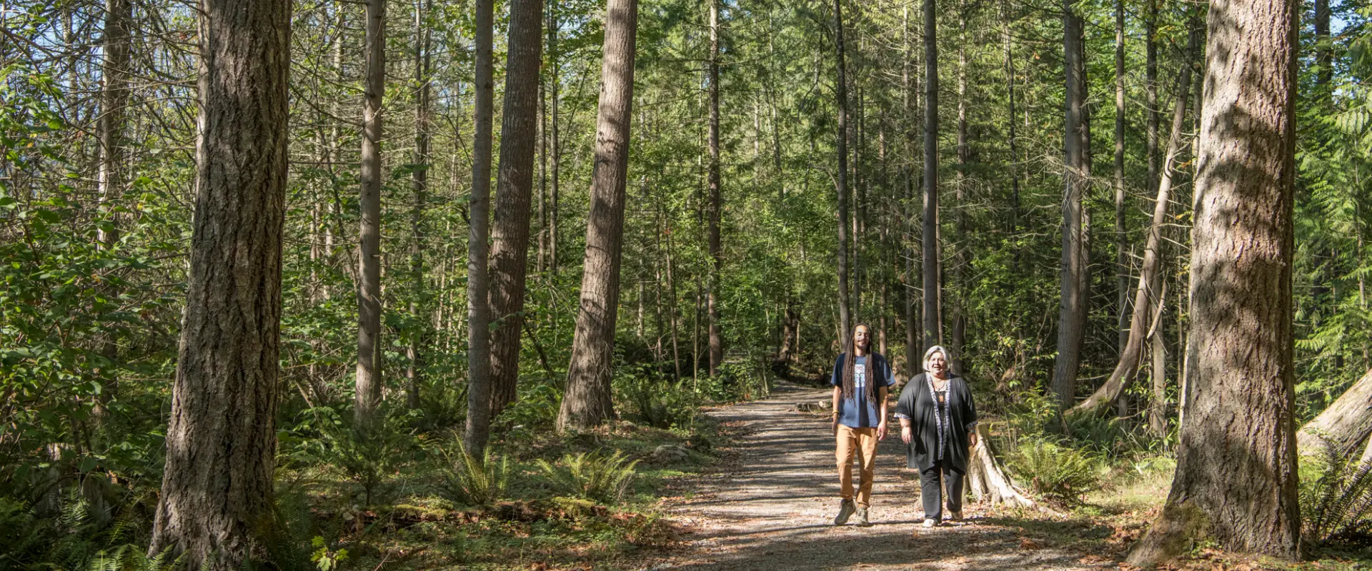 Pain Foundations | Pain Courses for Professionals | Pain Canada